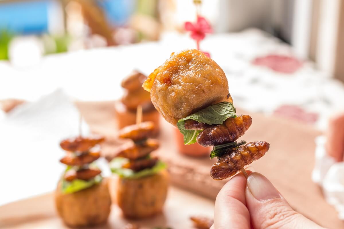 Insetti Antipasto Dolce: 5 migliori piatti con insetti per antipasti
