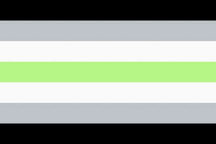 LGBTQ+ Flag Guide: Gay, Bisexual, Lesbian, Trans and Queer History and ...