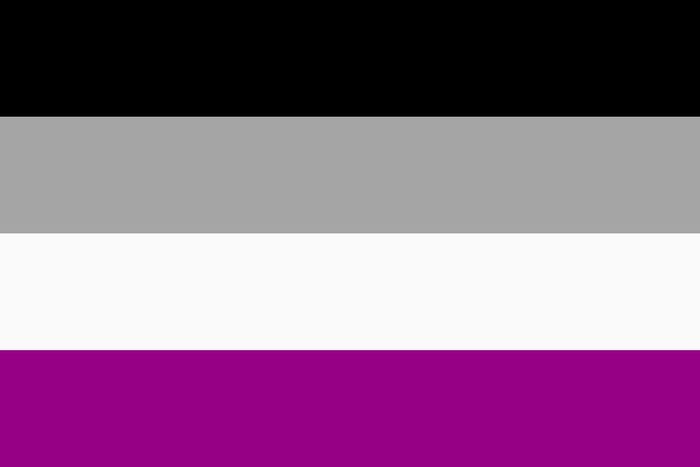 Guida Bandiere LGBTQ+: Storia e Significato (Gay, Bisex, Lesbo, Trans e ...