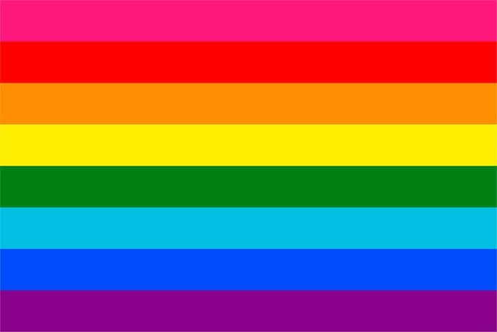 Guida Bandiere LGBTQ+: Storia e Significato (Gay, Bisex, Lesbo, Trans e ...