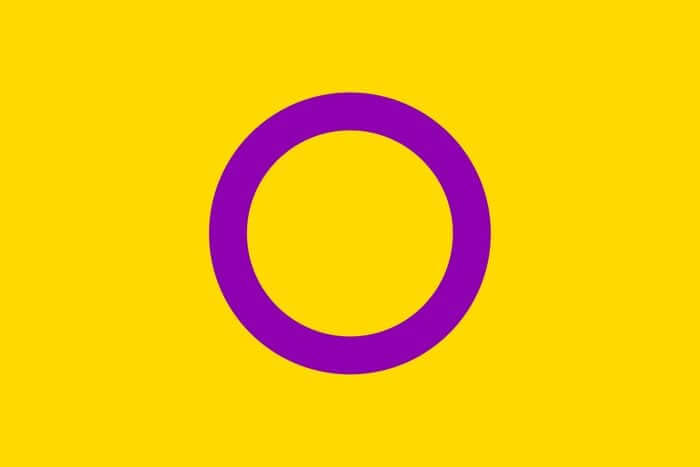 Guida Bandiere LGBTQ+: Storia e Significato (Gay, Bisex, Lesbo, Trans e ...