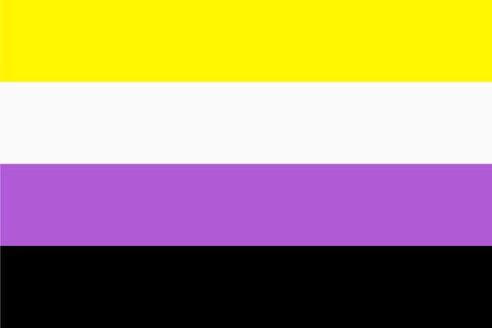LGBTQ+ Flag Guide: Gay, Bisexual, Lesbian, Trans and Queer History and ...